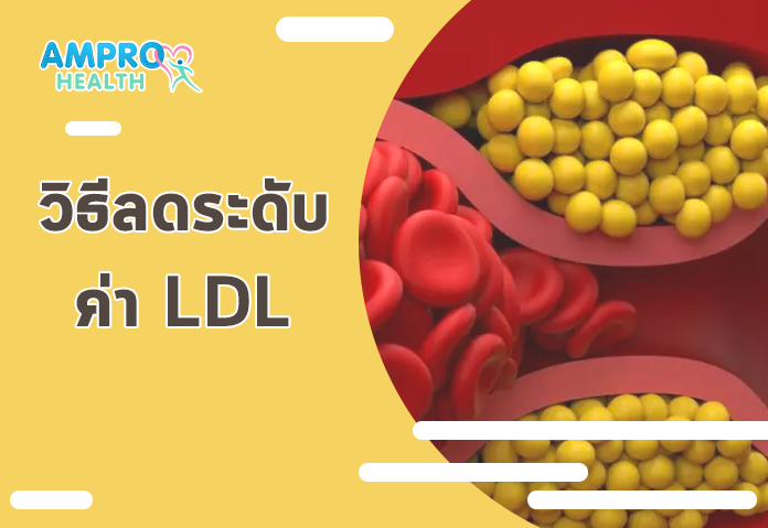 ไขมัน LDL คืออะไร ทำไมถึงเป็นอันตรายต่อร่างกาย