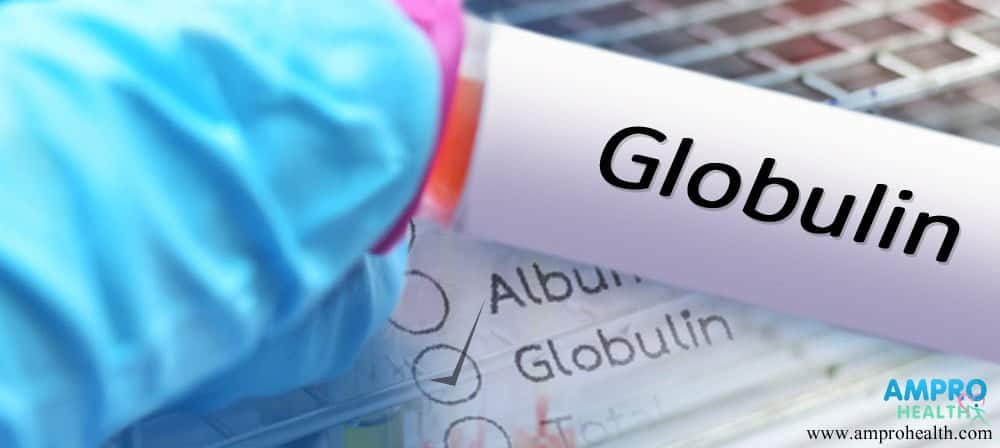 รู้ก่อนป้องกันก่อน ทำไมต้องตรวจ Globulin และผลต่อร่างกาย