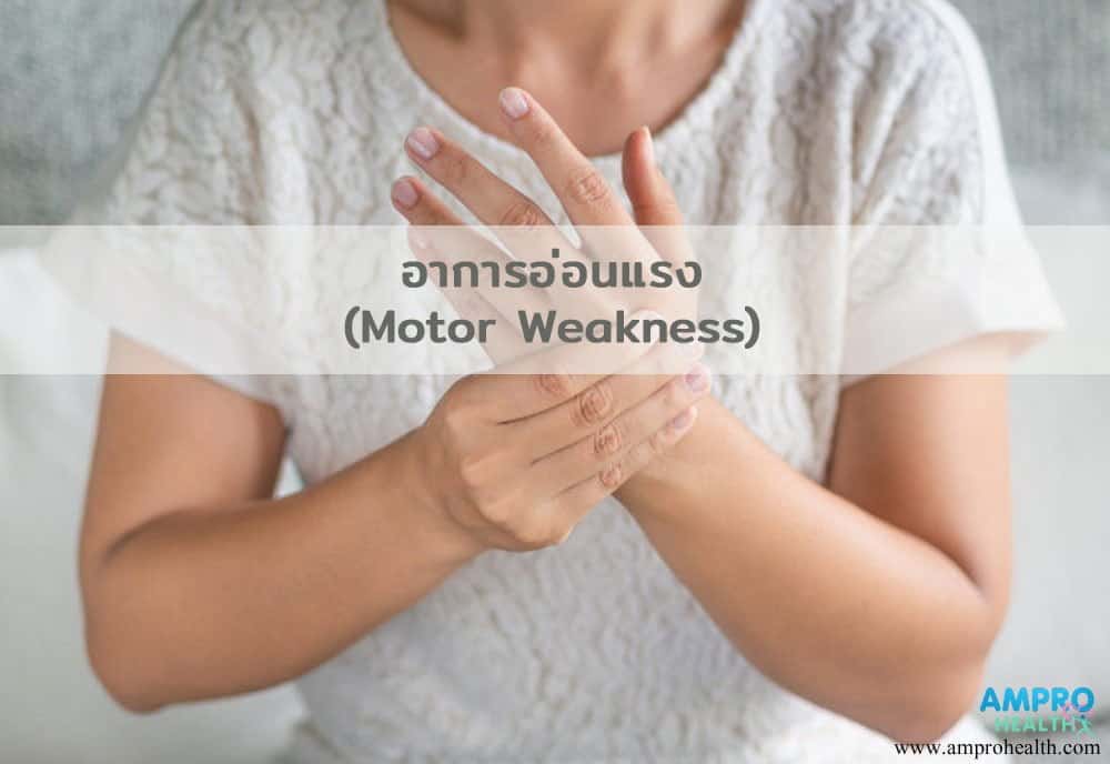 อาการอ่อนแรง ( Motor Weakness ) - AM Pro Health