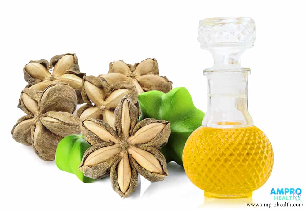 น้ำมันถั่วดาวอินคาสกัดเย็น ( Cold pressed sacha inchi oil ) - AM Pro Health